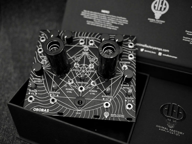 Eurorack Modules – Animal Factory Amplification